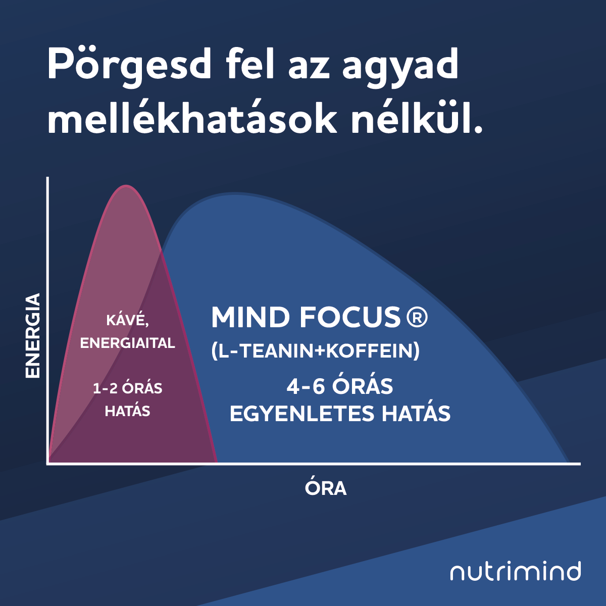 Mind Focus® – Nutrimind